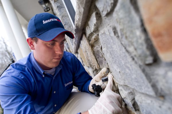 AMERICAN PEST - Updated September 2025 - 51 Photos & 307 Reviews ...