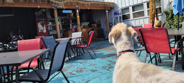 JW SNACK’S GULF COAST BAR & GRILL - Updated December 2025 - 34 Photos ...