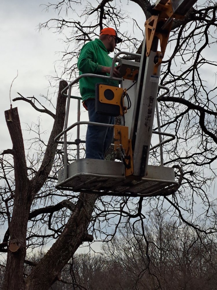 AMBER’S LAWN & LANDSCAPING - 29 Photos - Cincinnati, Ohio - Lawn ...