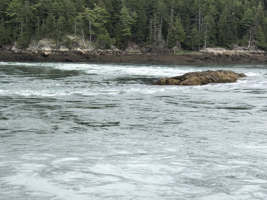 REVERSING FALLS PARK - Updated January 2026 - Pembroke, Maine - Parks ...