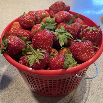 JOHNSON’S FARM PRODUCE - Updated September 2025 - 350 Photos & 64 ...