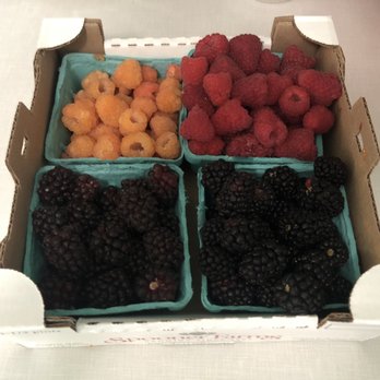 SPOONER FARMS - Updated May 2025 - 136 Photos & 92 Reviews - 9710 State ...