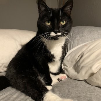 PETMAC - Updated December 2025 - 15 Photos & 35 Reviews - 4914 ...