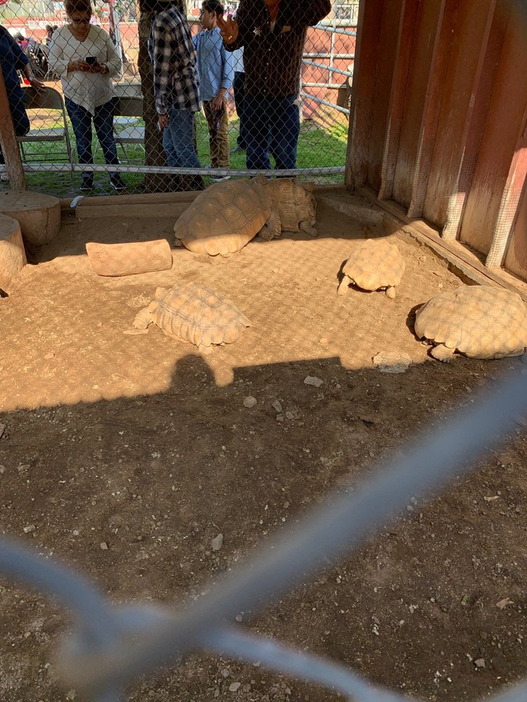 MONTEBELLO BARNYARD ZOO - 360 Photos & 161 Reviews - Petting Zoos - 600 ...