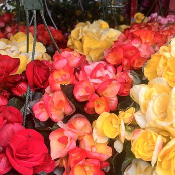 PAT’S FARMS GARDEN CENTER - Updated January 2026 - 71 Photos - 1126 ...