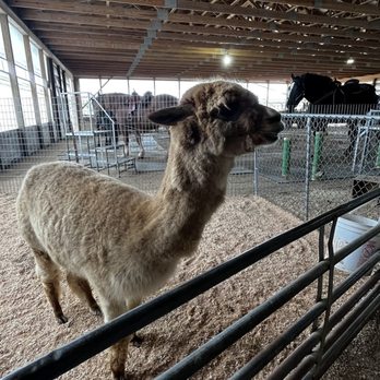 HERSHBERGER’S FARM AND BAKERY - Updated June 2025 - 187 Photos & 82 ...