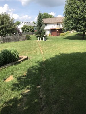 TDS - Updated October 2025 - 17 Photos & 343 Reviews - 525 Junction Rd ...