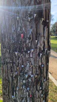 PRUNERIDGE GOLF CLUB - Updated April 2026 - 129 Photos & 291 Reviews ...