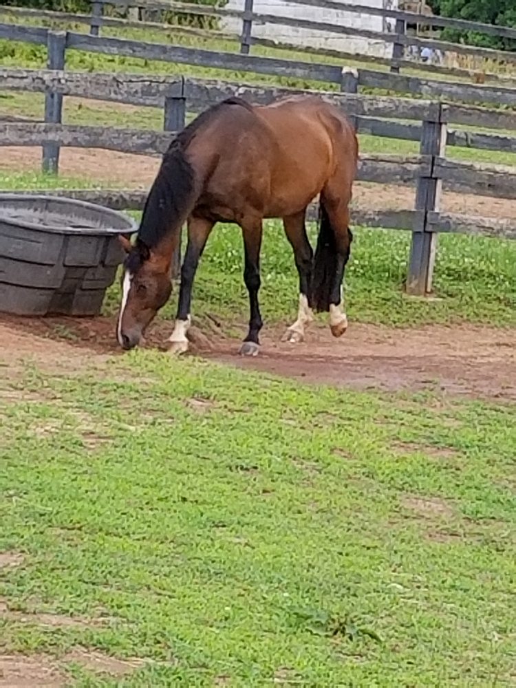 COMPASS ROSE FARM - Updated July 2025 - 2714 Logmill Rd, Haymarket ...