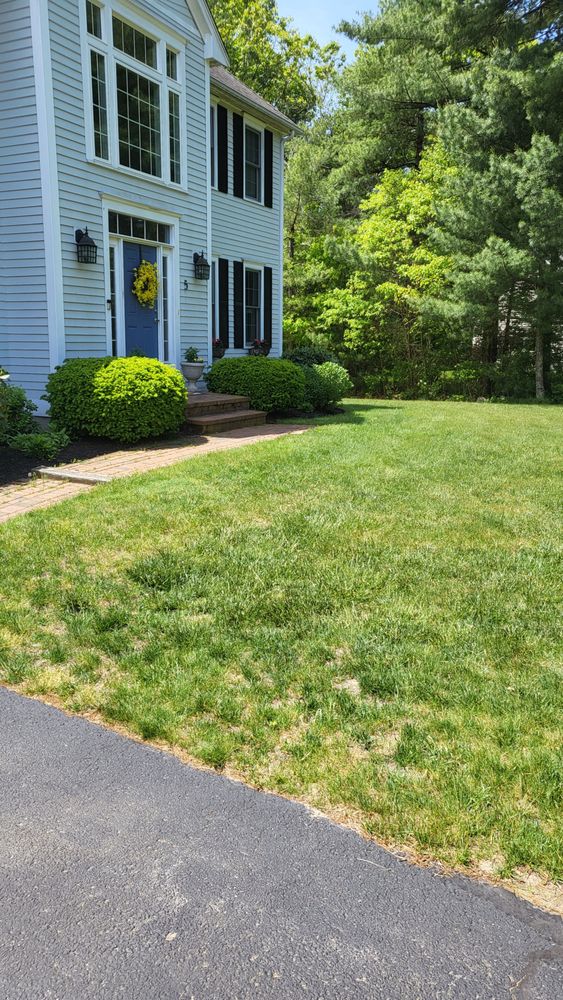 MALONEY LAWN CARE - Updated April 2026 - 15 Photos - 19 Lincoln St ...