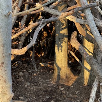 COLD SPRING HARBOR STATE PARK - 59 Reviews & 233 Photos - 83-141 State ...