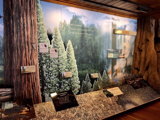 GIANT FOREST MUSEUM - 92 Photos & 24 Reviews - 47050 Generals Hwy ...