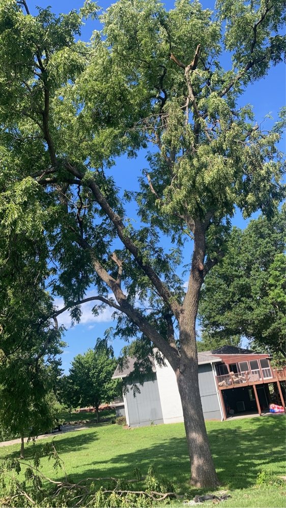 NM TREE SERVICE - Updated December 2024 - Topeka, Kansas - Tree ...