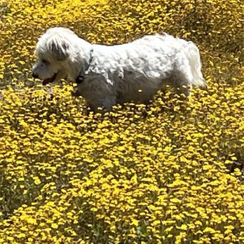 SHELL RIDGE OPEN SPACE - Updated October 2025 - 61 Reviews & 424 Photos ...