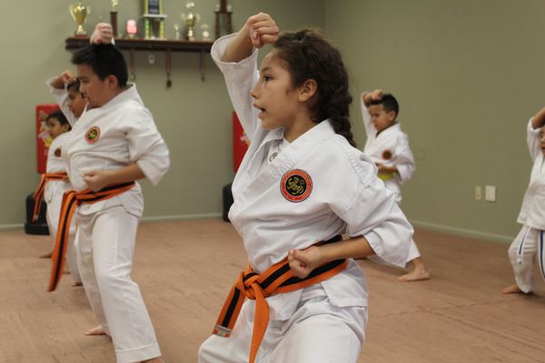 SHOTOKAN KARATE DO ACADEMY - Updated January 2026 - 26 Photos - 15220 ...