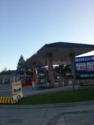 ROTTEN ROBBIE - Updated June 2024 - 15 Photos & 20 Reviews - 390 ...