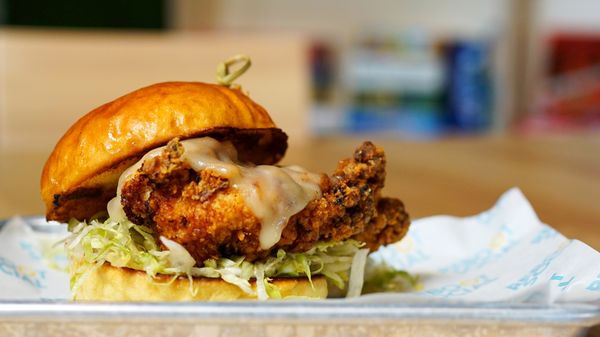 THE REBOOT SOCIAL - Updated December 2025 - 86 Photos & 50 Reviews ...