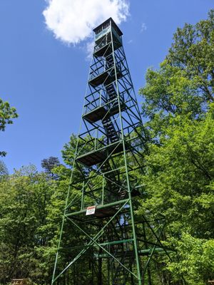 CLARK STATE FOREST - Updated May 2025 - 21 Photos - Henryville, Indiana ...