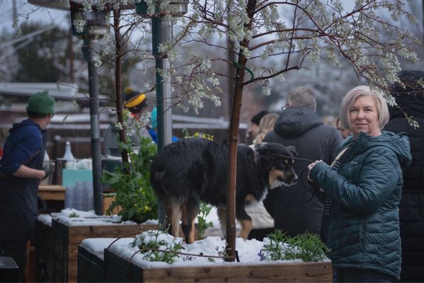 WHITE RABBIT - Updated December 2025 - 25 Photos - 4 N Latah St, Boise ...