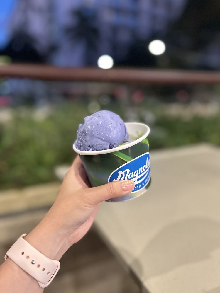 MAGNOLIA ICE CREAM & TREATS - Updated April 2026 - 1340 Photos & 476 ...