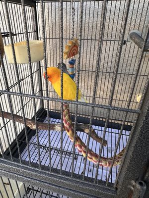 SUNRISE POST ACUTE - Updated October 2025 - 16 Photos - 3476 West ...