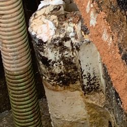 ROOTER PLUS - 55 Photos & 166 Reviews - 5834 Bethelview Rd, Cumming, GA ...