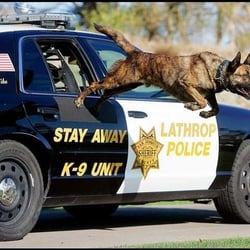 LATHROP POLICE DEPT - 14 Reviews - 15597 7th St, Lathrop, CA - Yelp