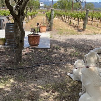 PETER CELLARS - Updated February 2025 - 117 Photos & 88 Reviews - 21708 ...