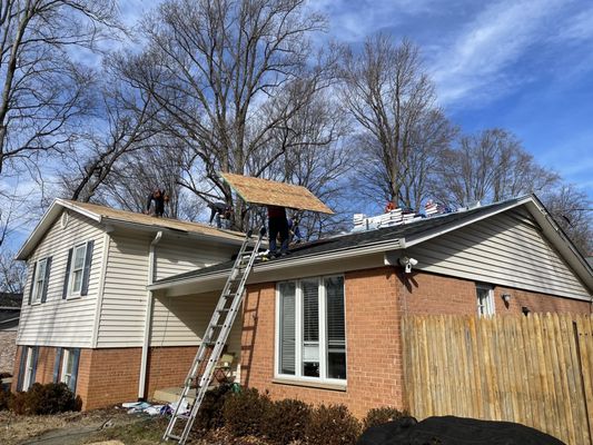 PANDA EXTERIORS - Updated October 2025 - 131 Photos & 34 Reviews ...