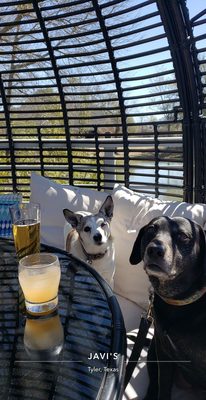 JAVI’S - Updated September 2025 - 169 Photos & 369 Reviews - 7212 Old ...