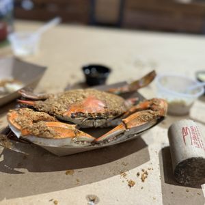 SOUL KUISINE CAFE - Updated March 2025 - 120 Photos & 120 Reviews - 203 ...