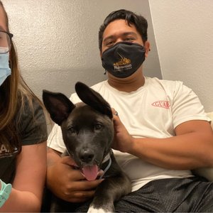 TROPICANA ANIMAL HOSPITAL - Updated August 2025 - 182 Photos & 444 ...