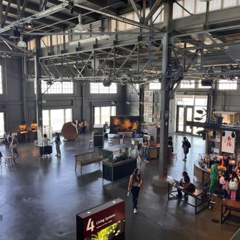 EXPLORATORIUM - Updated November 2024 - 3043 Photos & 1215 Reviews ...