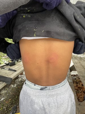 OPERATION PAINTBALL - Updated November 2025 - 59 Photos & 25 Reviews ...