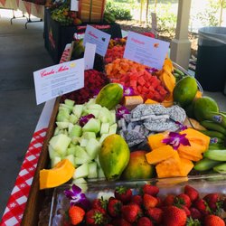 FREDERICKA MANOR RETIREMENT COMMUNITY IN CHULA VISTA - 85 Photos - 183 ...