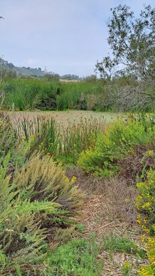 BLUFF TRAIL PARK - Updated January 2026 - 76 Photos & 18 Reviews - 1 W ...