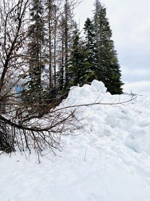 HYAK SNO-PARK - 65 Photos & 23 Reviews - Iron Horse Trl, Snoqualmie ...