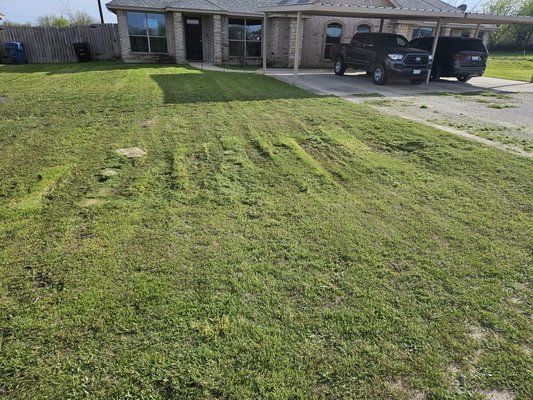 CRAZY GRASS LAWN CARE - Updated May 2025 - 27 Photos - Hudson Oaks ...