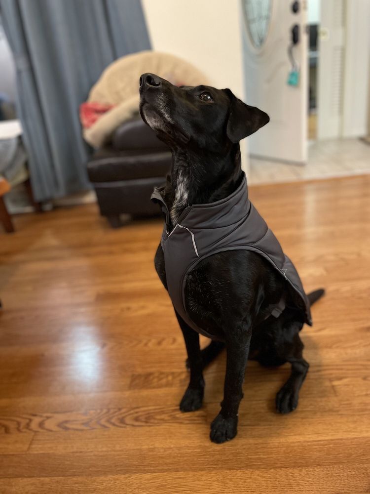 WAYWARD WENCH WARE - Updated December 2024 - 903 E Linoln Ave, Royal ...