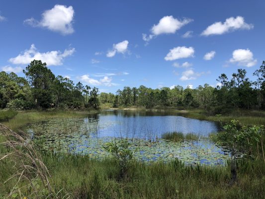 HALPATIOKEE REGIONAL PARK - Updated July 2025 - 85 Photos & 26 Reviews ...