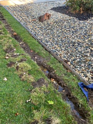 FIDIUM FIBER - Updated December 2025 - 86 Reviews - Roseville ...