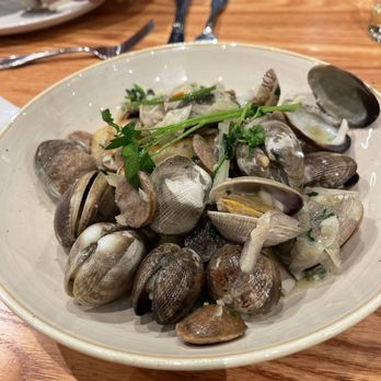 WILDFIN AMERICAN GRILL - Updated January 2025 - 96 Photos & 62 Reviews ...