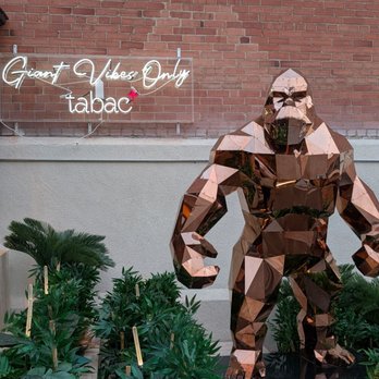 TABAC+ - Updated October 2025 - 231 Photos & 116 Reviews - 2215 Kettner ...