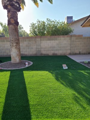 SOLIS LANDSCAPING AND MORE - Updated November 2024 - 41 Photos & 25 ...