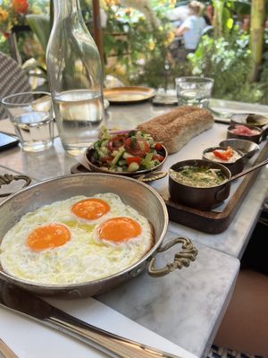 MOTEK AVENTURA - 66 Photos & 19 Reviews - Mediterranean - 19565 ...