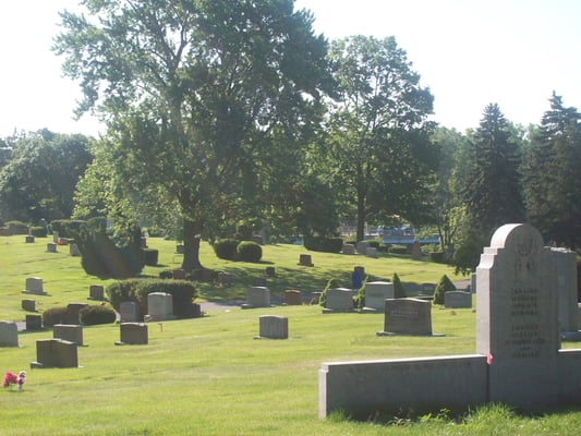 DEEPDALE MEMORIAL GARDENS - Updated October 2025 - 19 Photos - 4108 Old ...