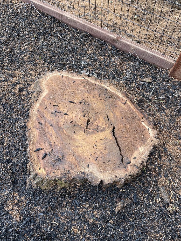 NEW LIFE TREE SERVICE - Updated October 2025 - 94 Photos & 119 Reviews ...