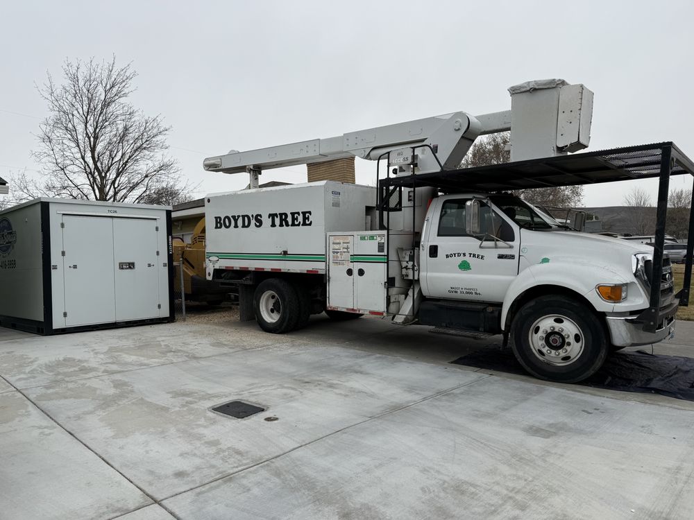 Boyd S Tree Service Updated September 2025 11 Photos 18 Reviews