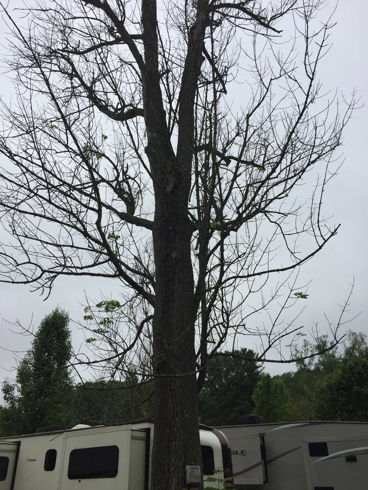 SPRINGBROOK FAMILY CAMPGROUND - Updated August 2025 - 675 Numidia Dr ...