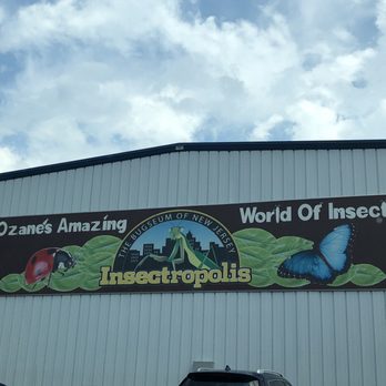INSECTROPOLIS - Updated October 2025 - 101 Photos & 28 Reviews - 1761 Rte 9, Toms River, New ...